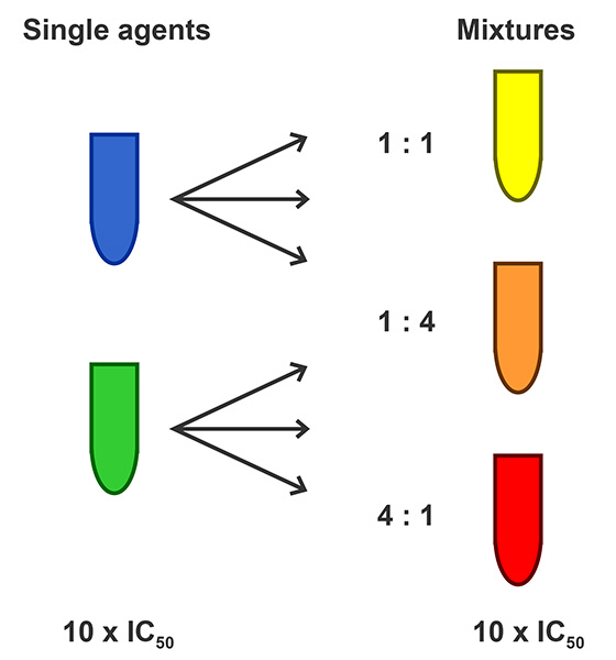 カルナバイオサイエンス株式会社 - SynergyFinder™ ～薬剤併用効果解析サービス～